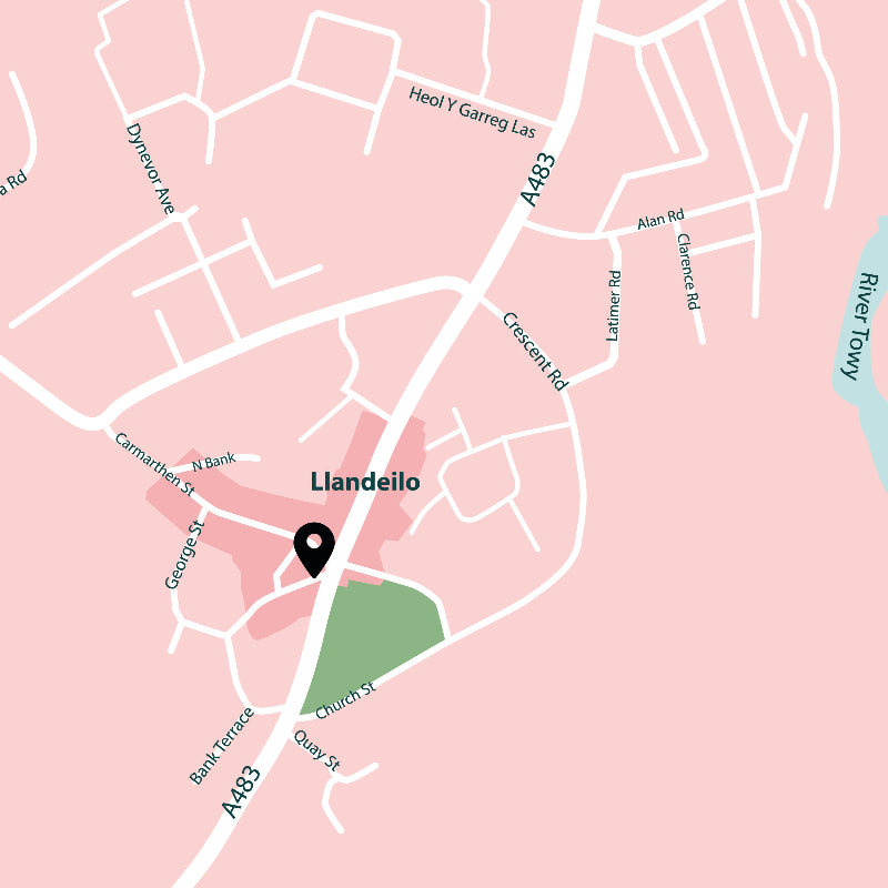 Visit Eve's Toy Shop - Llandeilo, South Wales